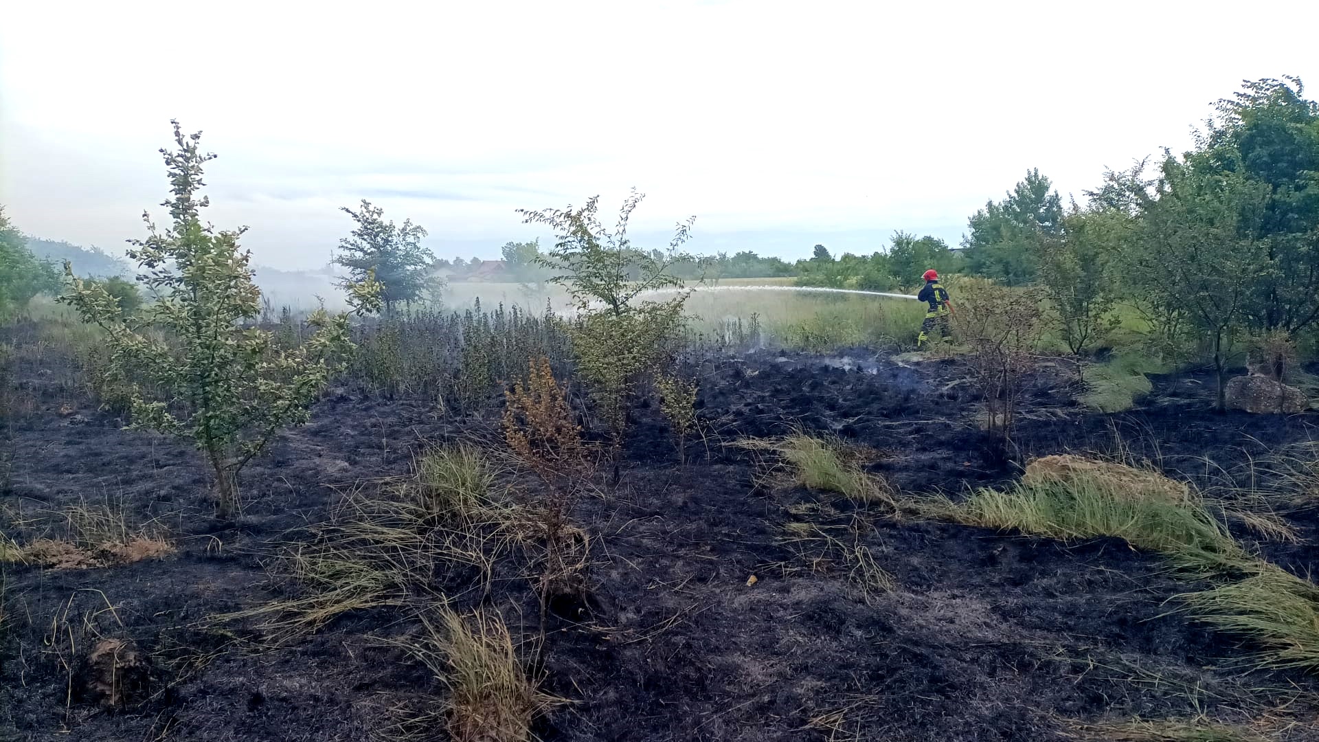 Patru incendii de vegetație uscată, în zone diferite ale județului, în ...